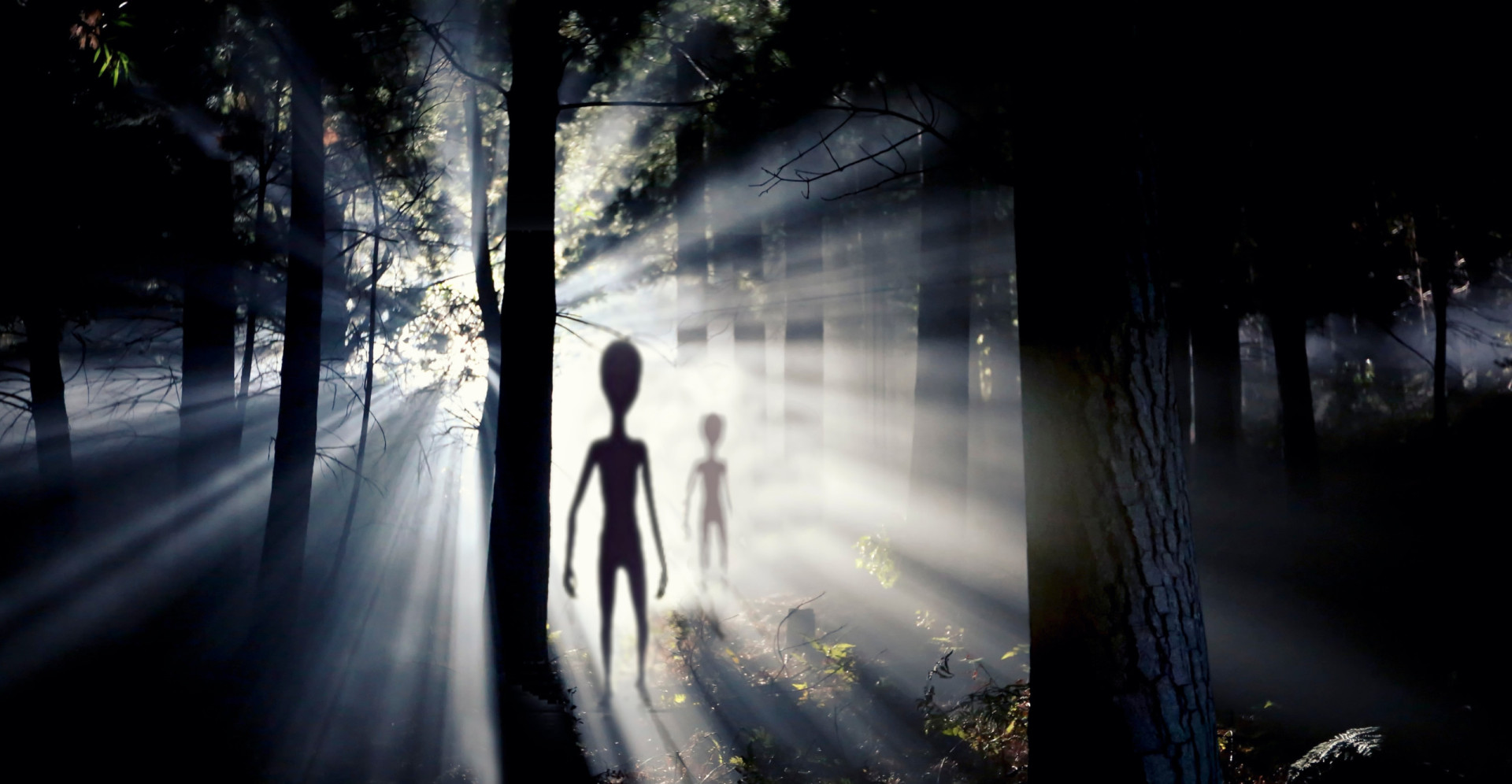 Are aliens hiding from us?