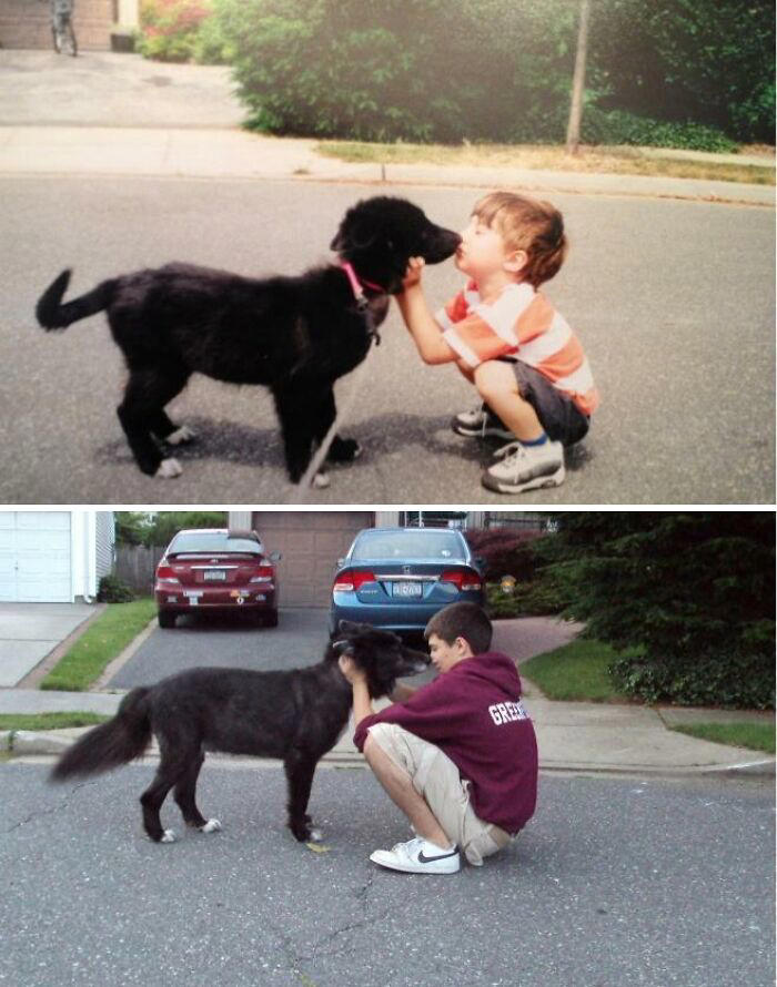 58 pics of pets growing up with their humans that might just make your day