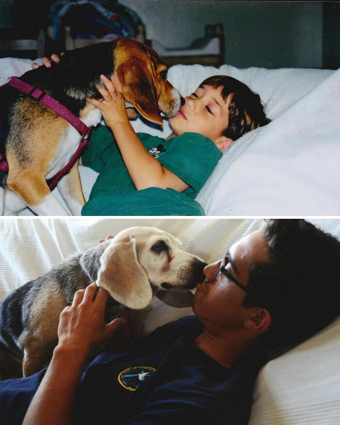 58 pics of pets growing up with their humans that might just make your day