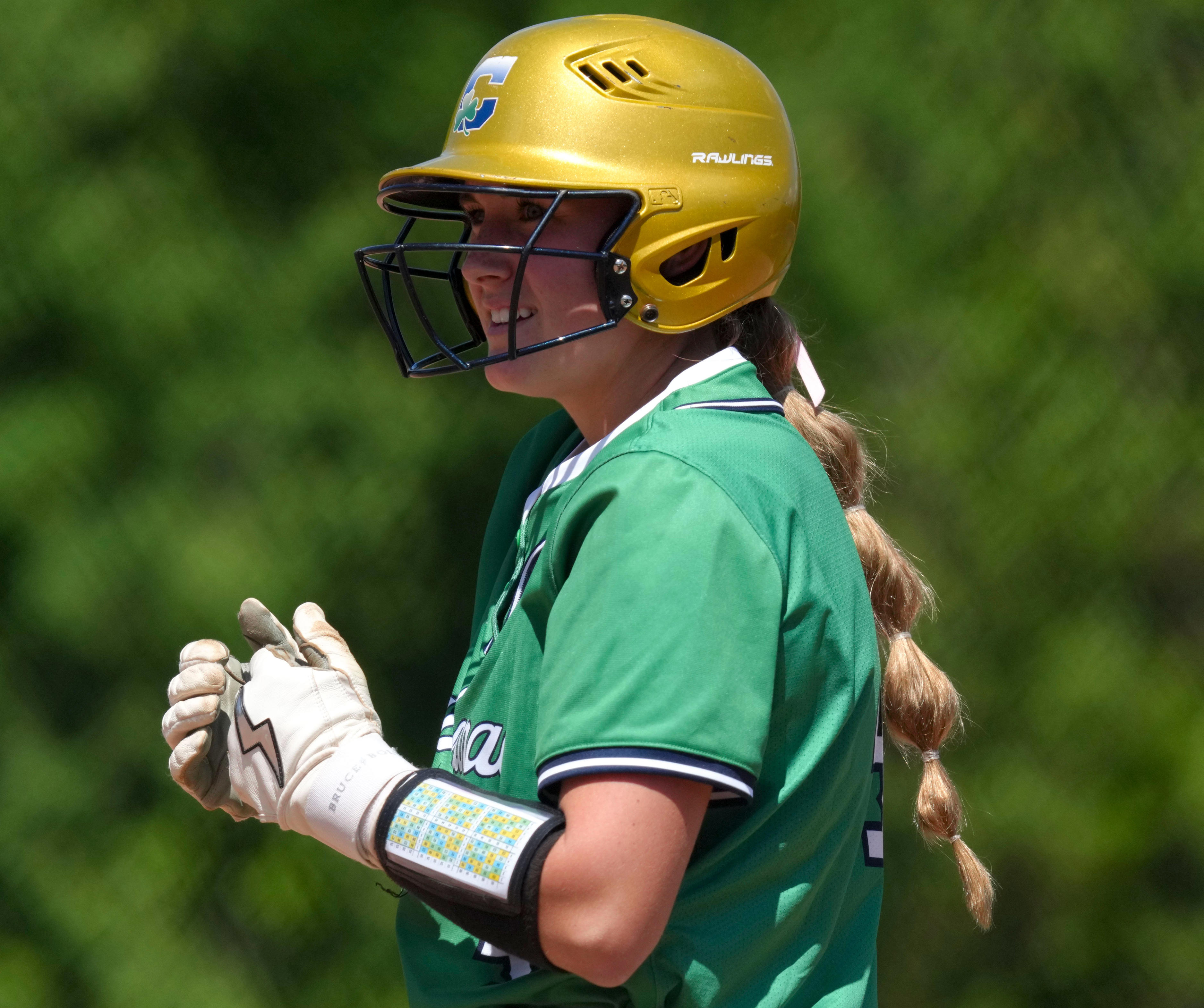 IHSAA softball sectionals: Central Indiana scores, schedule, updated ...