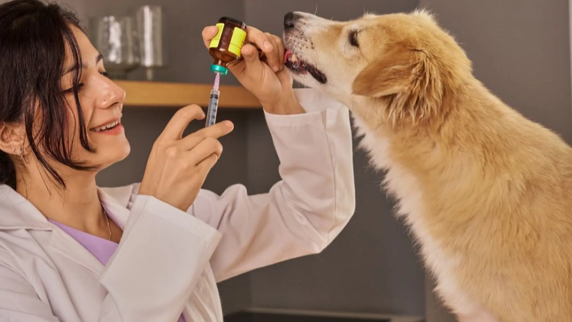Denk jij dat je hond of kat goed beschermd is? De meeste eigenaren ...