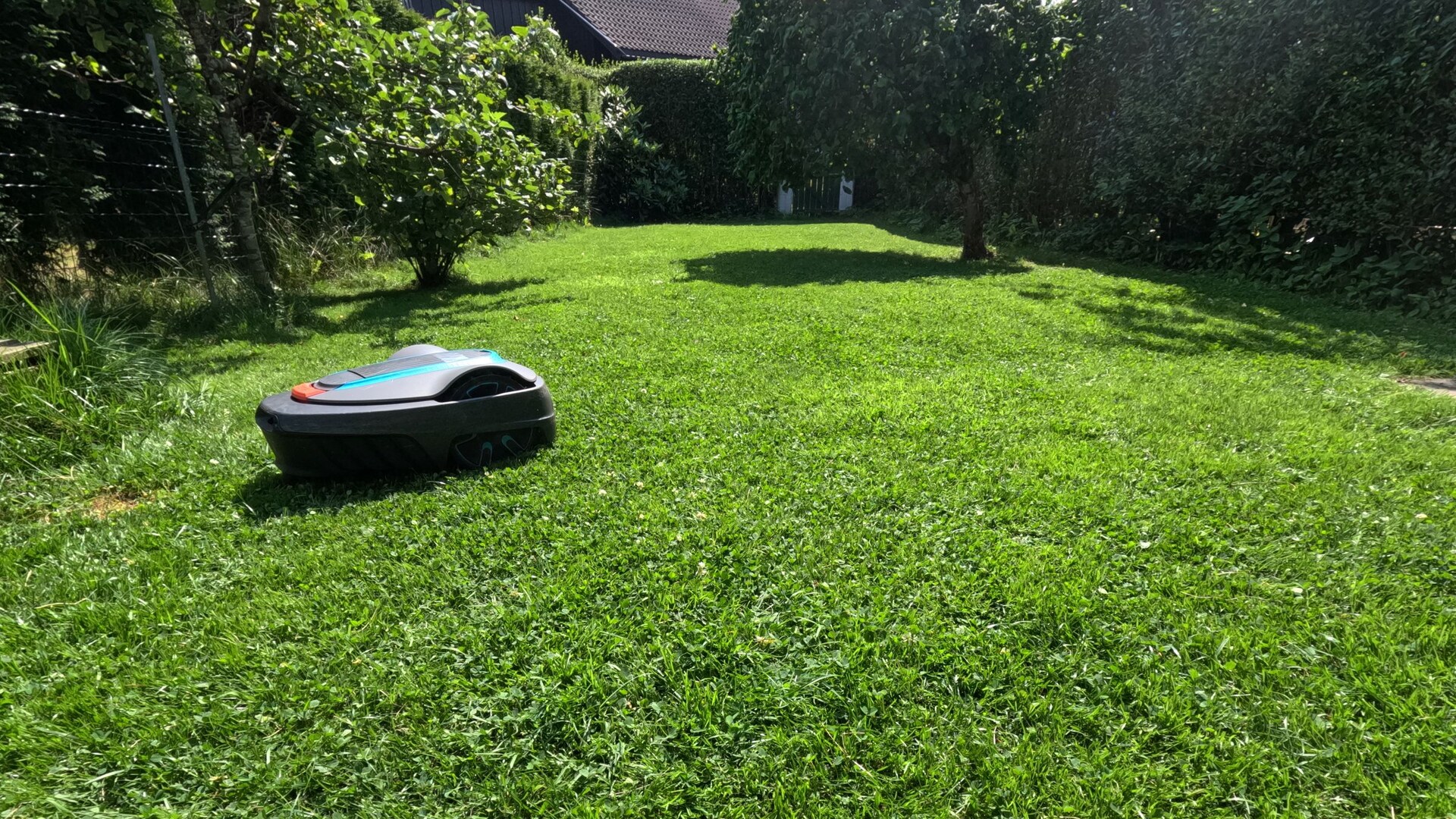 Viele denken nicht daran: In diesen Gärten hat ein Mähroboter nichts ...