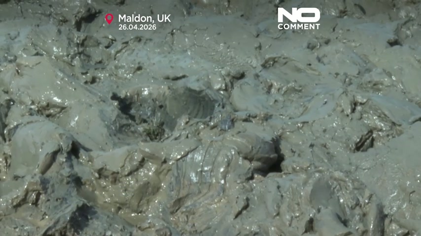 Runners battle mud at annual UK charity race