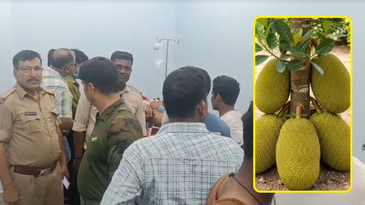 कटहल के लिए बिहार के गोपालगंज में बवाल, चाकूबाजी के बाद इलाके में तनाव