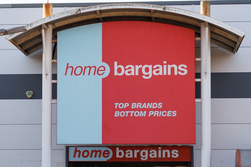 Home Bargains £12.99 eye-catching ornament looks great in the garden