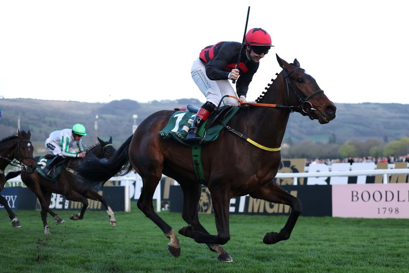 Surprise GAA win could be good Punchestown Festival omen for owner