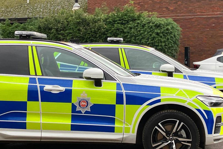 Family 'just crushed' as boy, 10, fights for his life after crash that ...