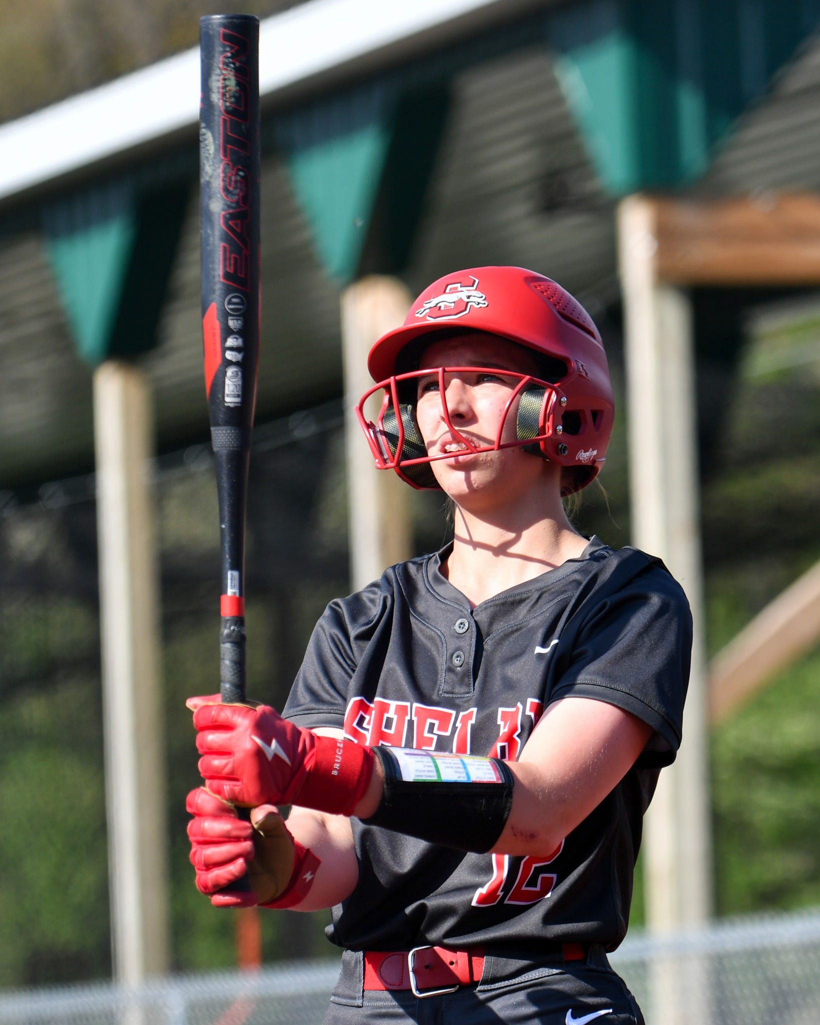 2026 Richland County softball scoreboard: Whippets, Colts both win