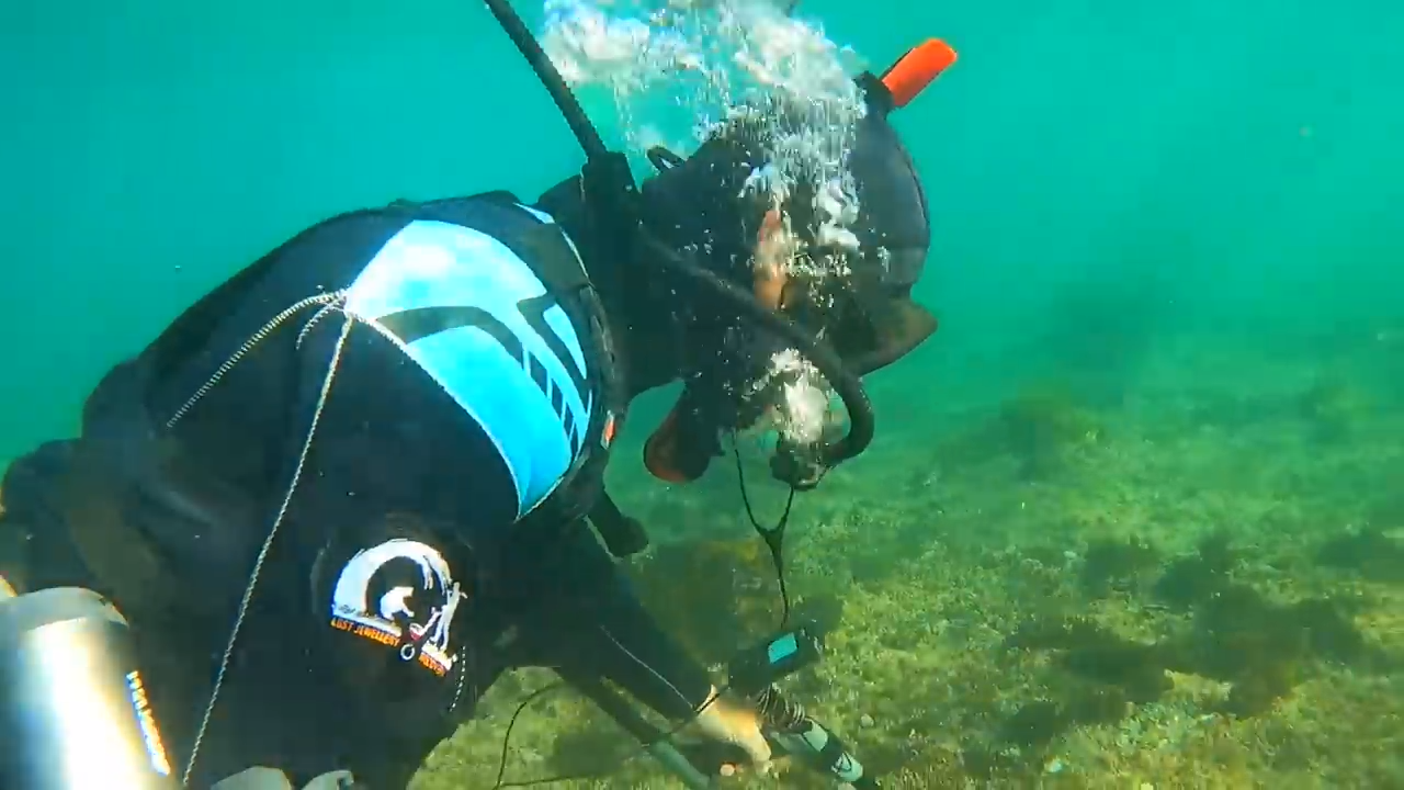 This dive turned deadly – 3 sharks locked in while police closed the area