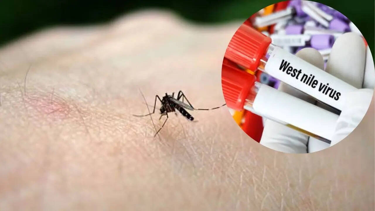 West Nile fever reported in Kerala: Mosquito-borne virus raises alert