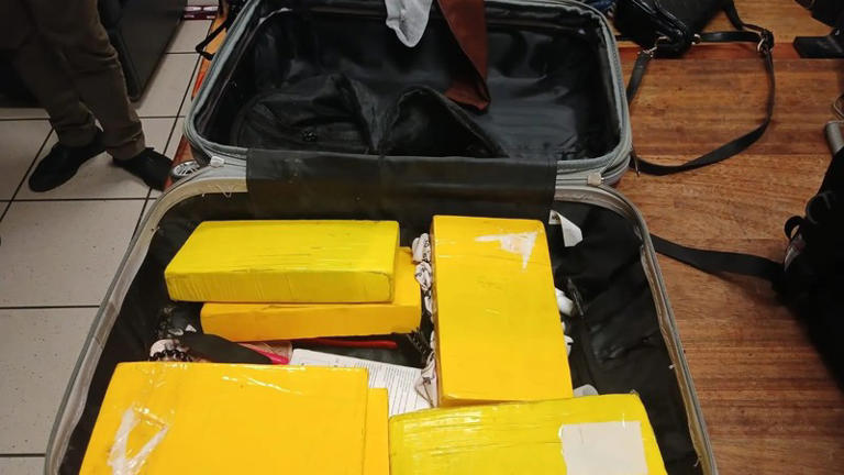 Alleged Brazilian drug trafficker arrested at OR Tambo Airport with R8 ...