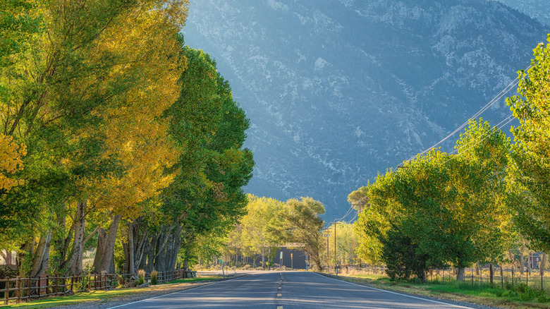 Situated against the backdrop of snow-capped Sierras is a unique ...
