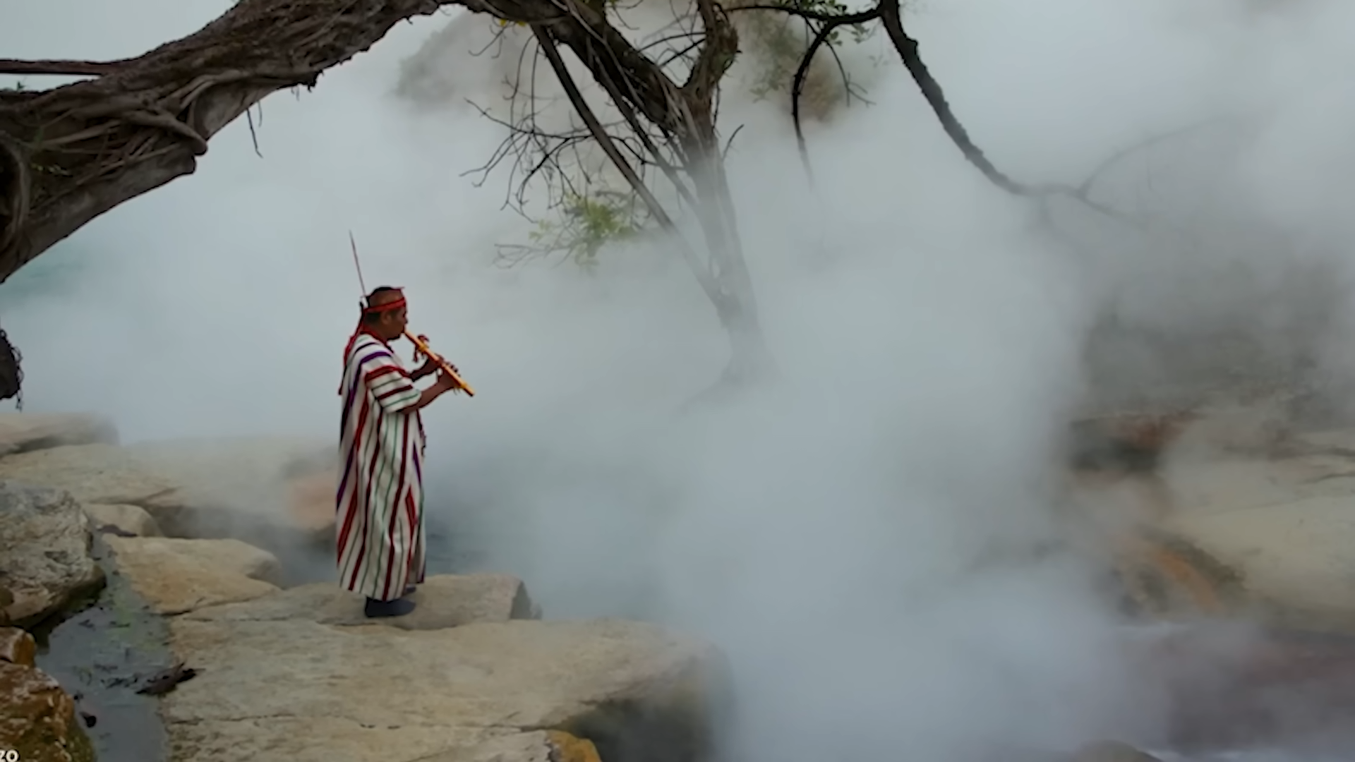 A river in the Amazon hits 194°F and boils animals alive