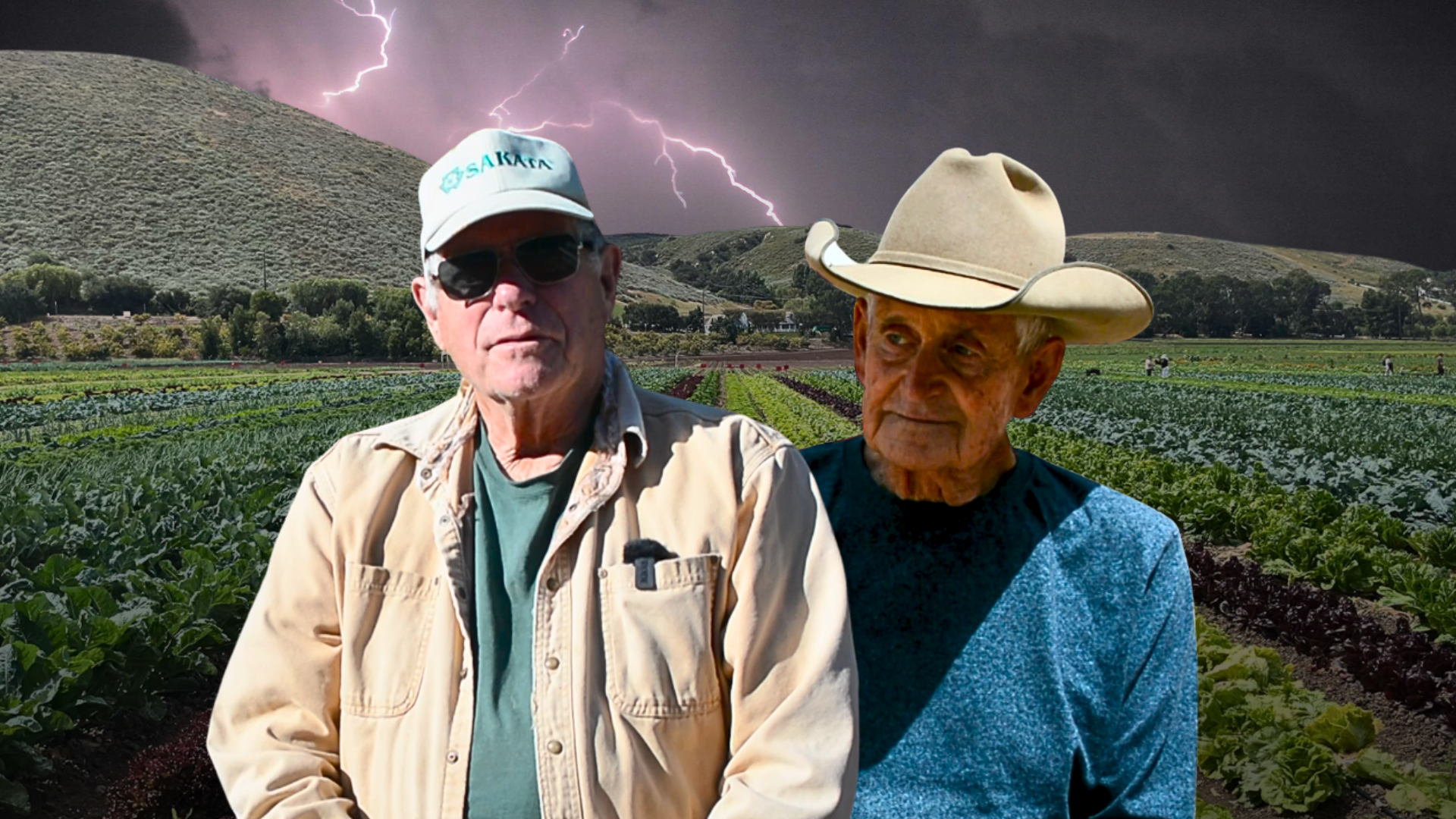 The $1,600 lettuce: California growers warn of ‘master plan’ strangling ...