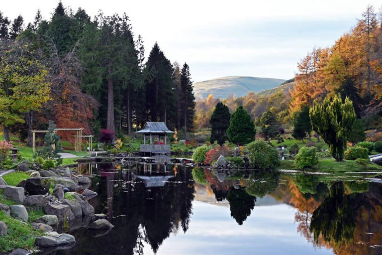 'Magical' Japanese garden walk just 1 hour from Edinburgh is ideal for ...