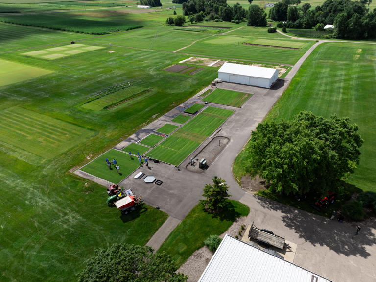 For MSU researcher Trey Rogers, FIFA World Cup is about turfgrass and ...