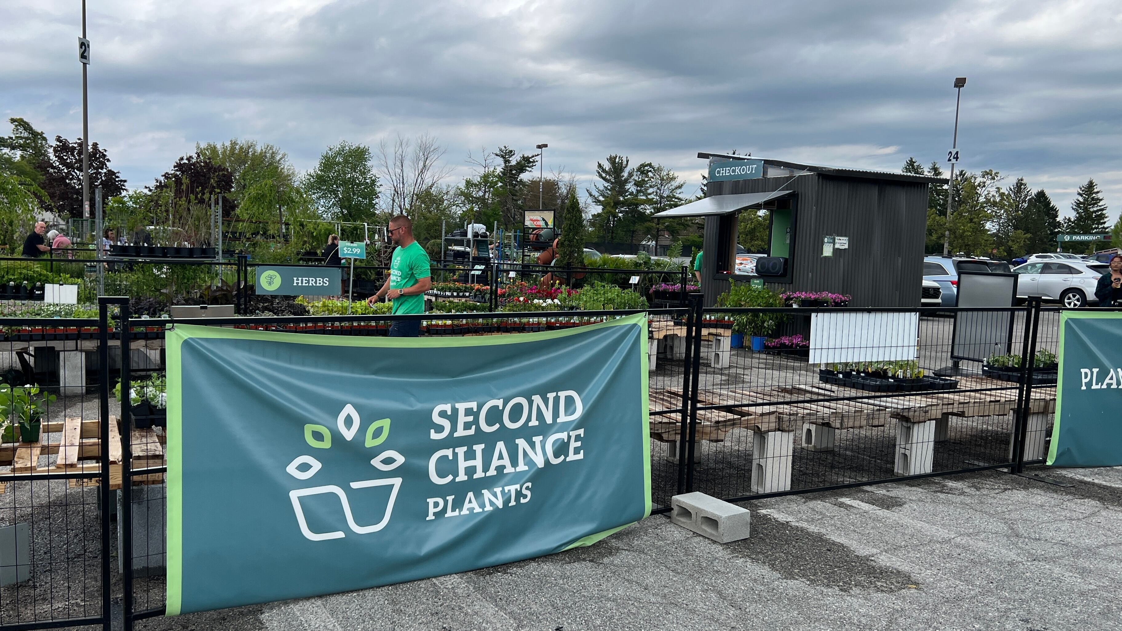 Gardeners rush to pop-up plant shop in Dauphin County parking lot