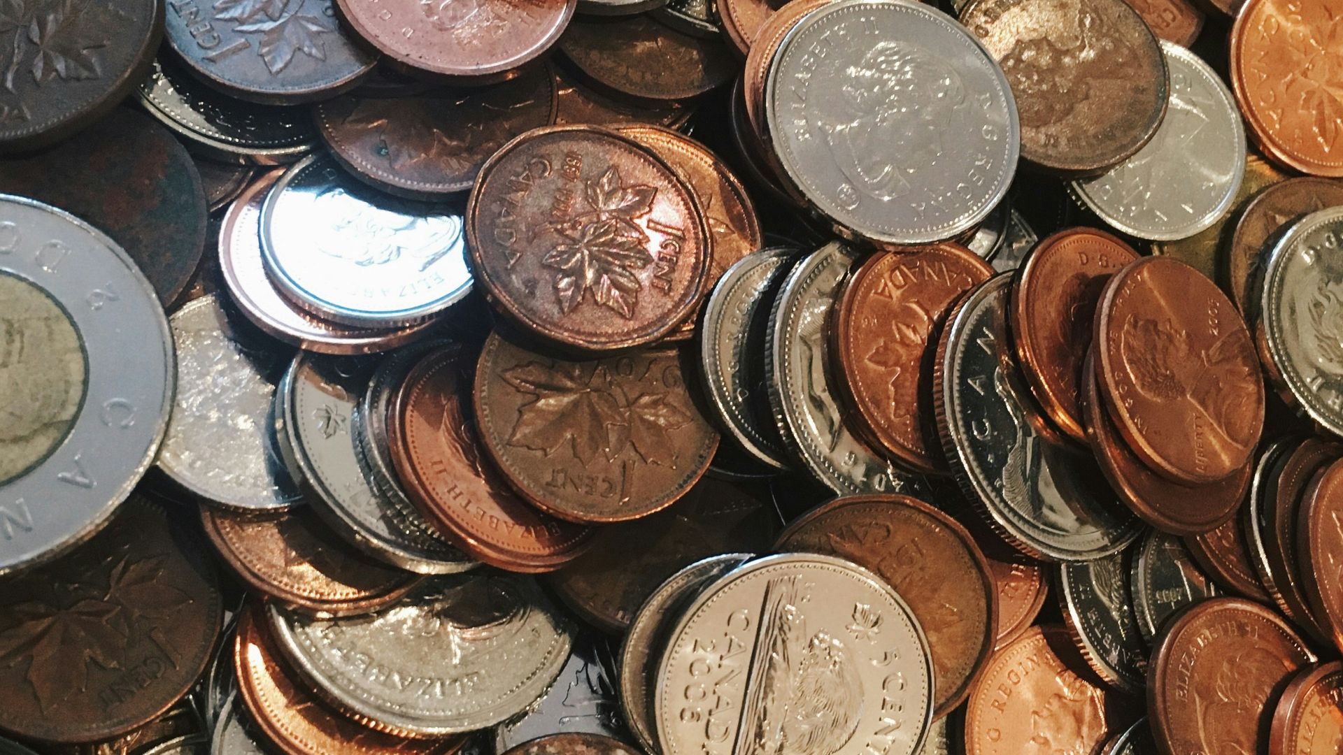 We found a box of valuable coins hidden in the basement of our new ...