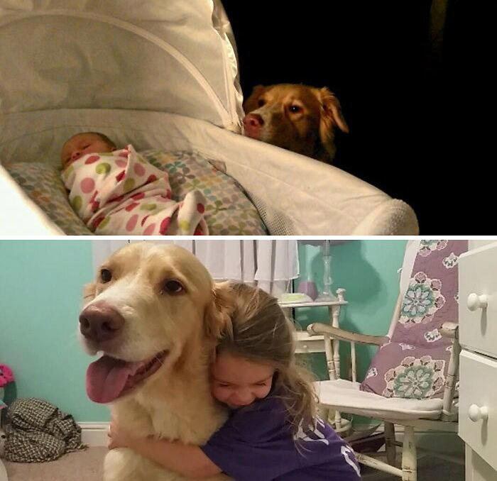 58 pics of pets growing up with their humans that might just make your day