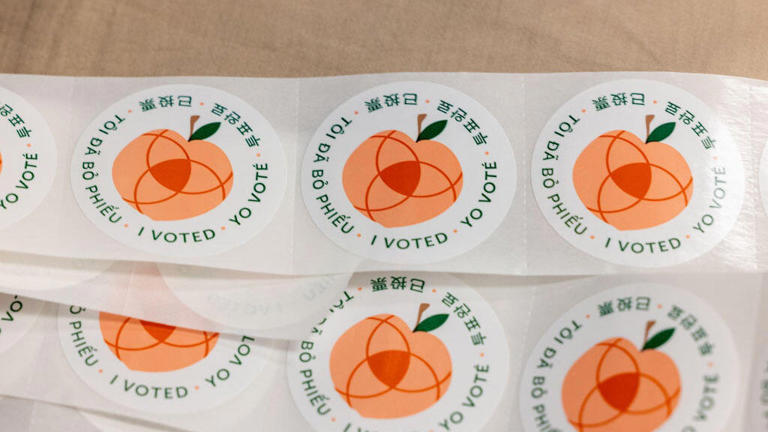 Georgia 2026 primary election: Early voting begins with crowded ballot ...