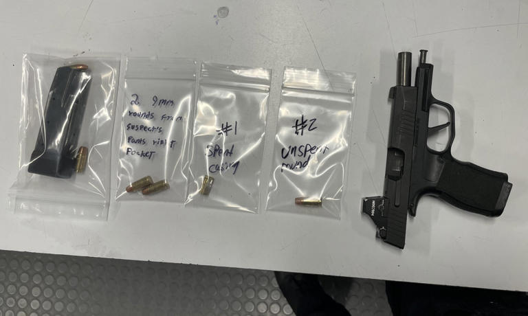 Seattle police: Armed felon arrested in Capitol Hill following argument ...