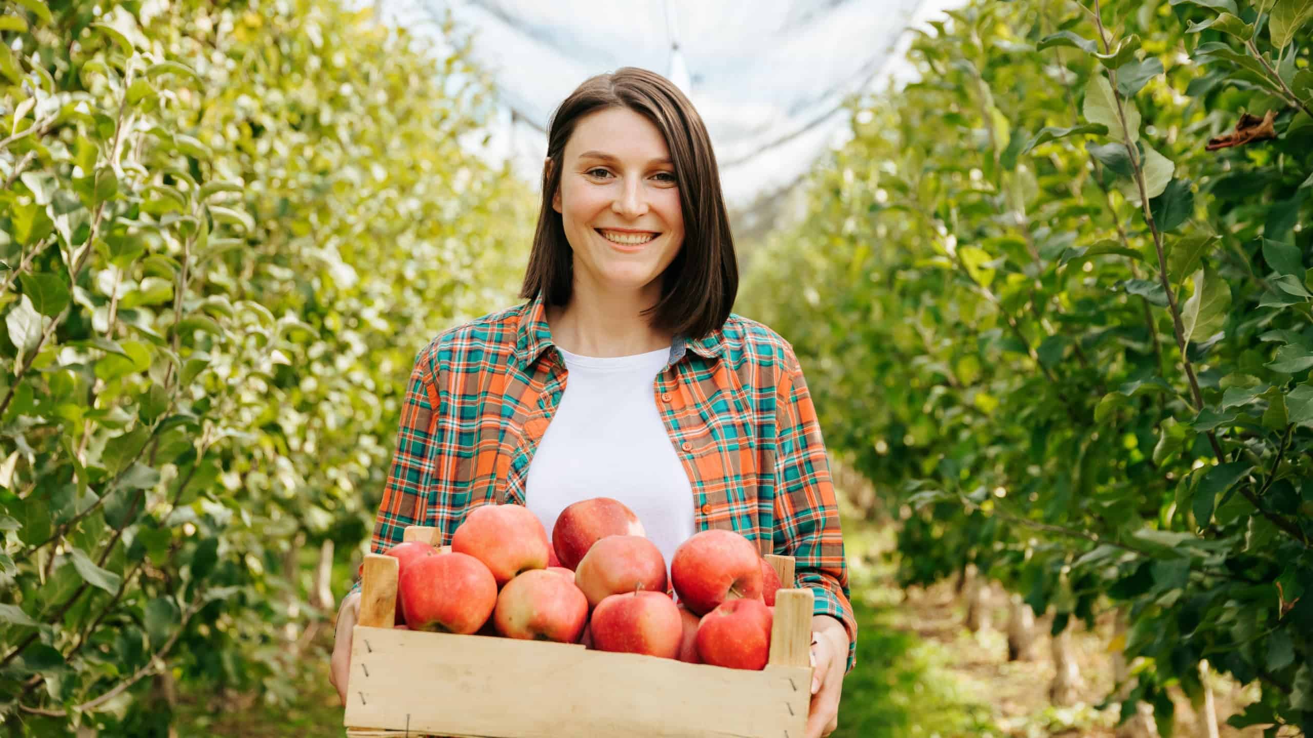 Not all apples have the same health benefits as these 9 varieties