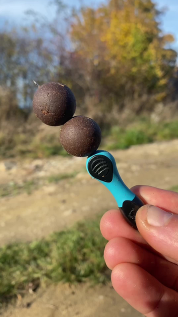 This simple carp rig is making a big difference