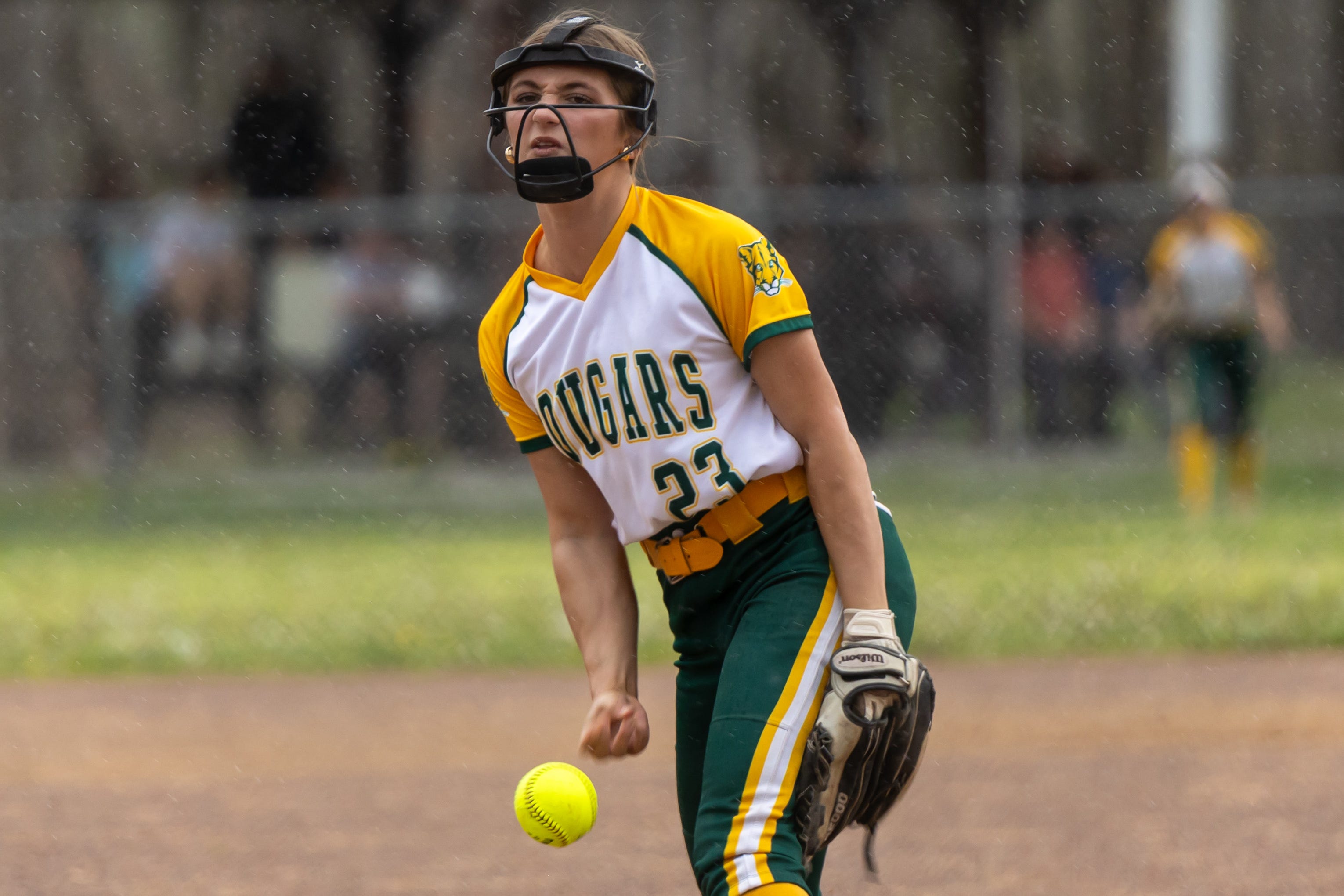Blackhawk softball, Elizabeth Forward set to battle for WPIAL 4A title