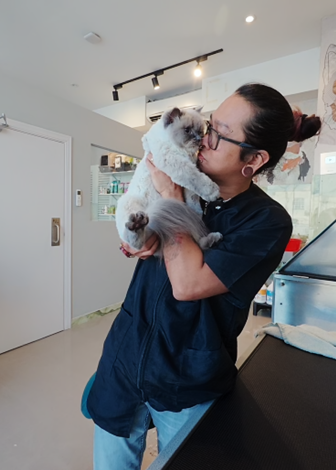 Lulu the sweet Himalayan cat