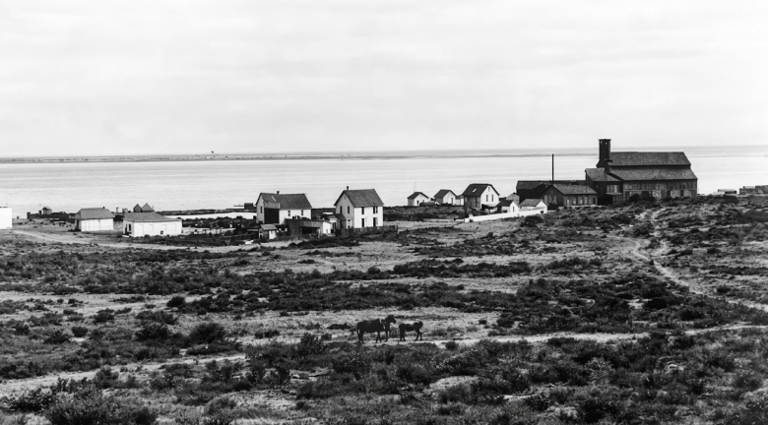Roseville: The Point Loma waterfront town that almost rivaled early San ...