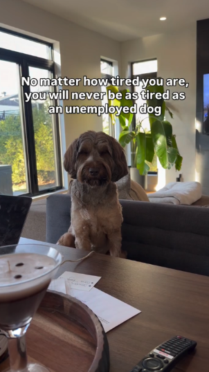 Funny dog moment that perfectly captures being tired