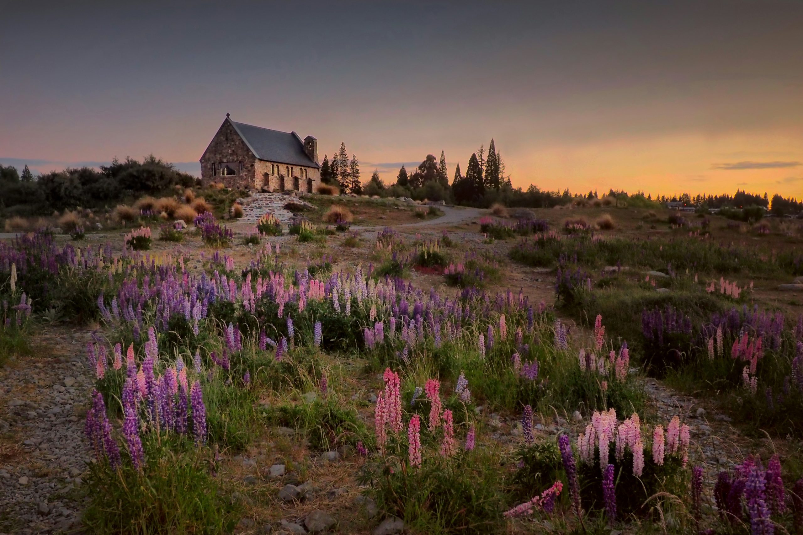 How to plan a 13-day road trip through New Zealand