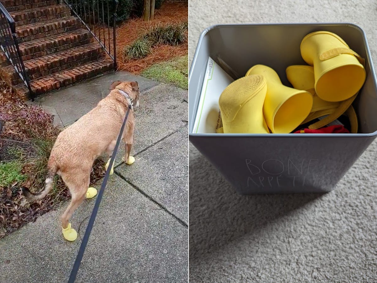 My 15-year-old dog has mobility limitations, but these products have ...