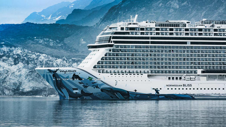 Cruise ship worker missing after falling overboard near Cape Cod