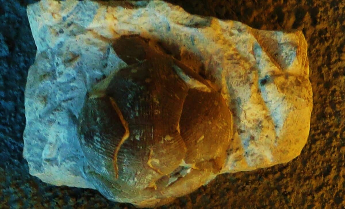 Scientists found a perfect and strange ball structure inside 80-million ...