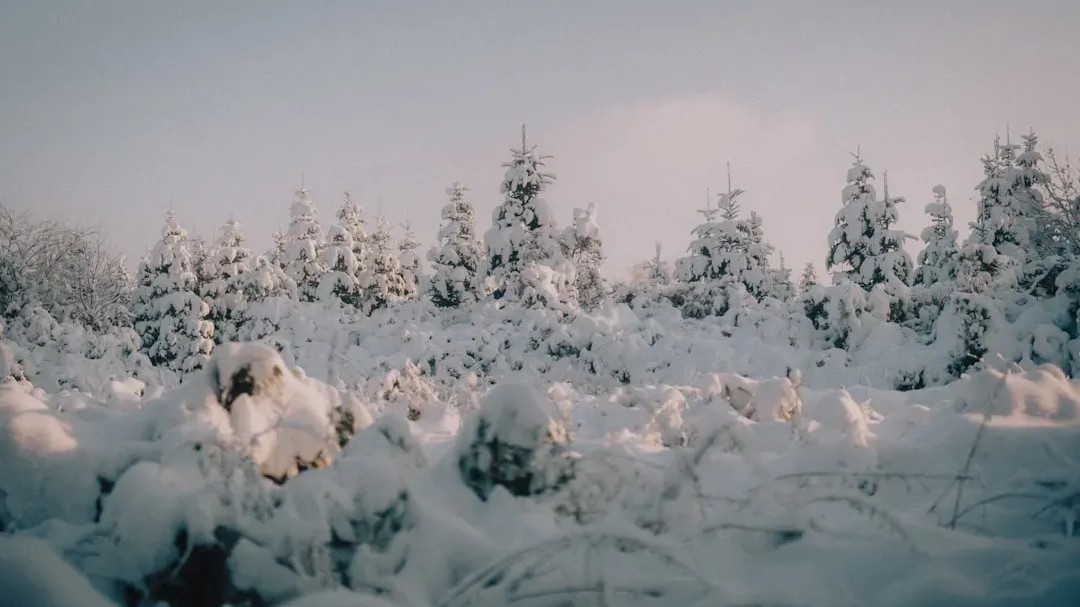 7 climate shifts Americans say ruined their favorite seasons