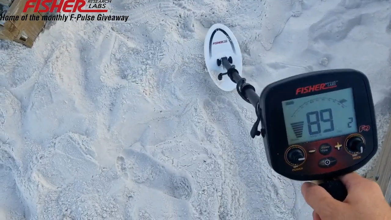 Beach hunting in Florida - You won’t believe what we found
