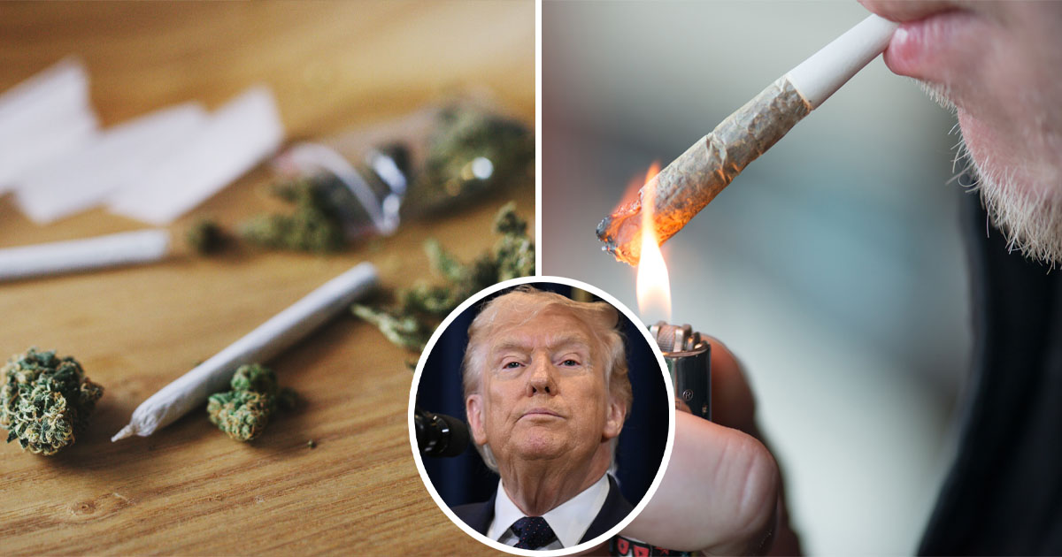 Surgeon shares terrifying side effect of smoking weed as Trump ...