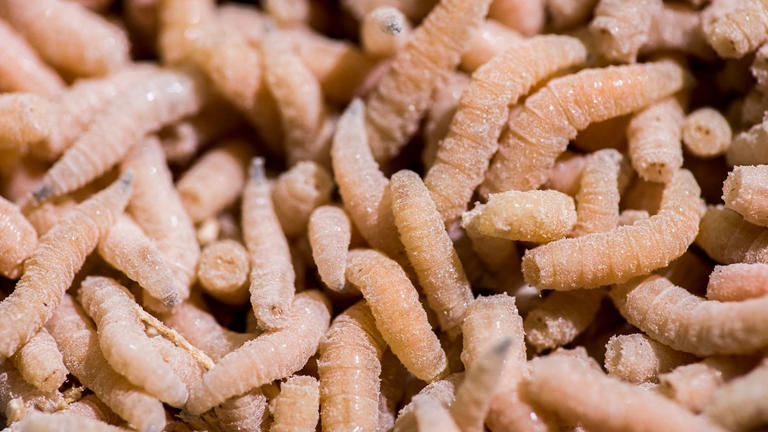 27 times doctors and nurses encountered something truly revolting