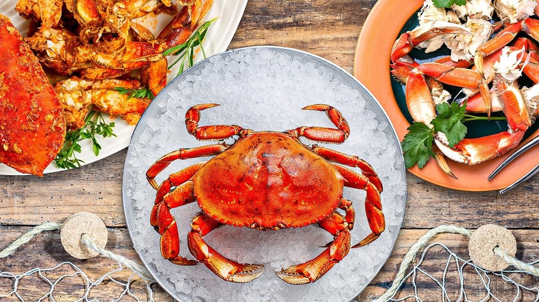 What makes Dungeness crab unique