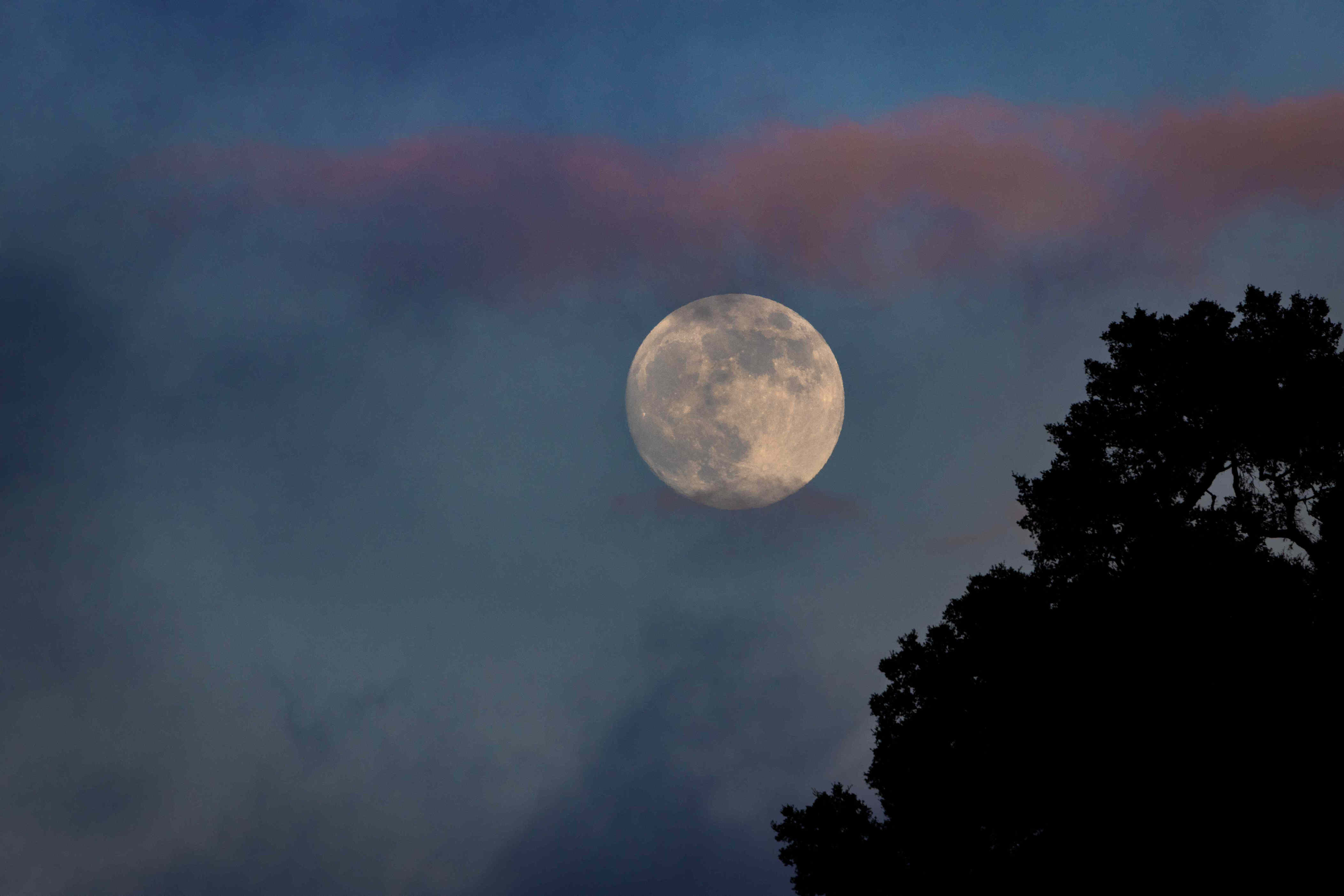 May’s full flower moon peaks this week—here’s the exact time to see it rise