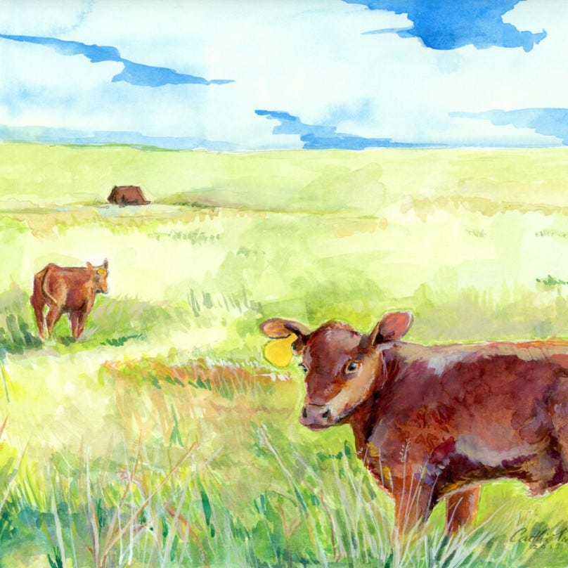 Open Streets kicks off next month with art and wine walk downtown