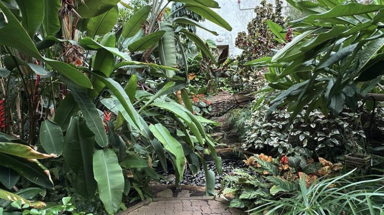 Indiana's botanical garden in Fort Wayne is a stunning oasis with ...