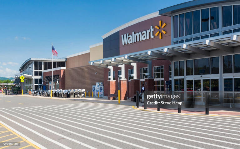 Walmart's whimsical floral hummingbird house is straight out of a fairy ...