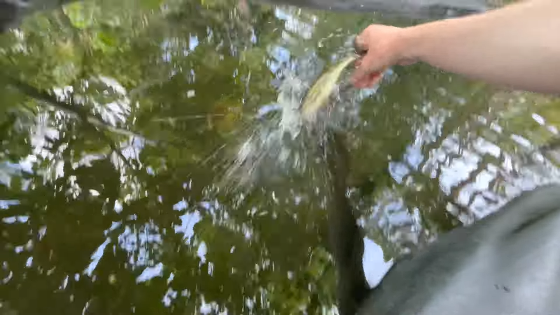 They thought fish wont bite… Until fish started attacking from above ...