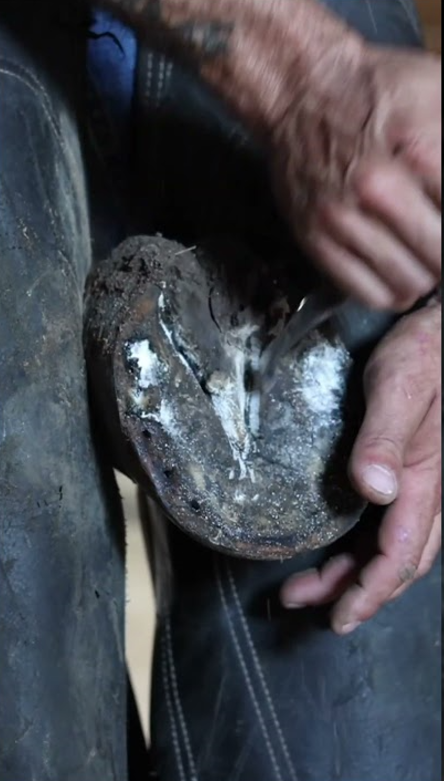 Extremely satisfying hoof trim