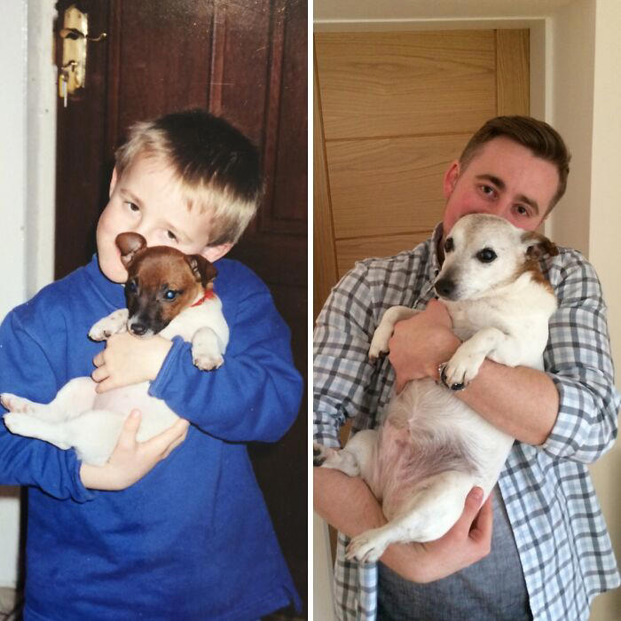 58 pics of pets growing up with their humans that might just make your day