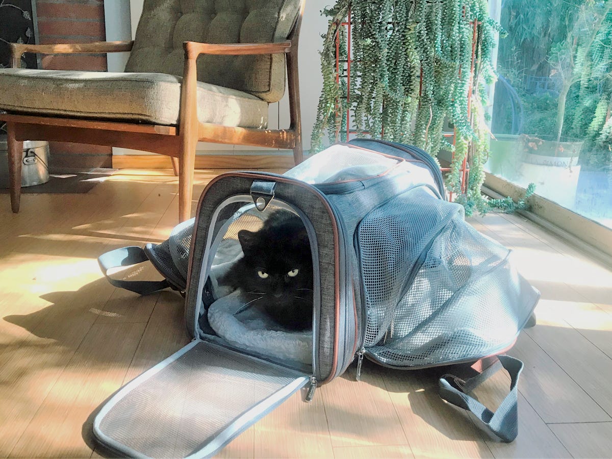 This expandable pet carrier is a versatile option for cats and small ...