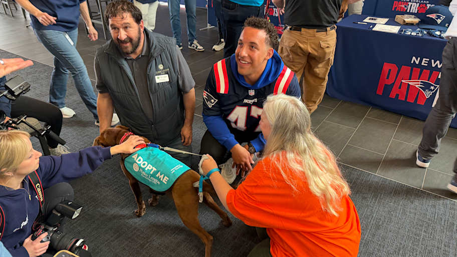 Current, former Patriots celebrate 'important' dog adoption event