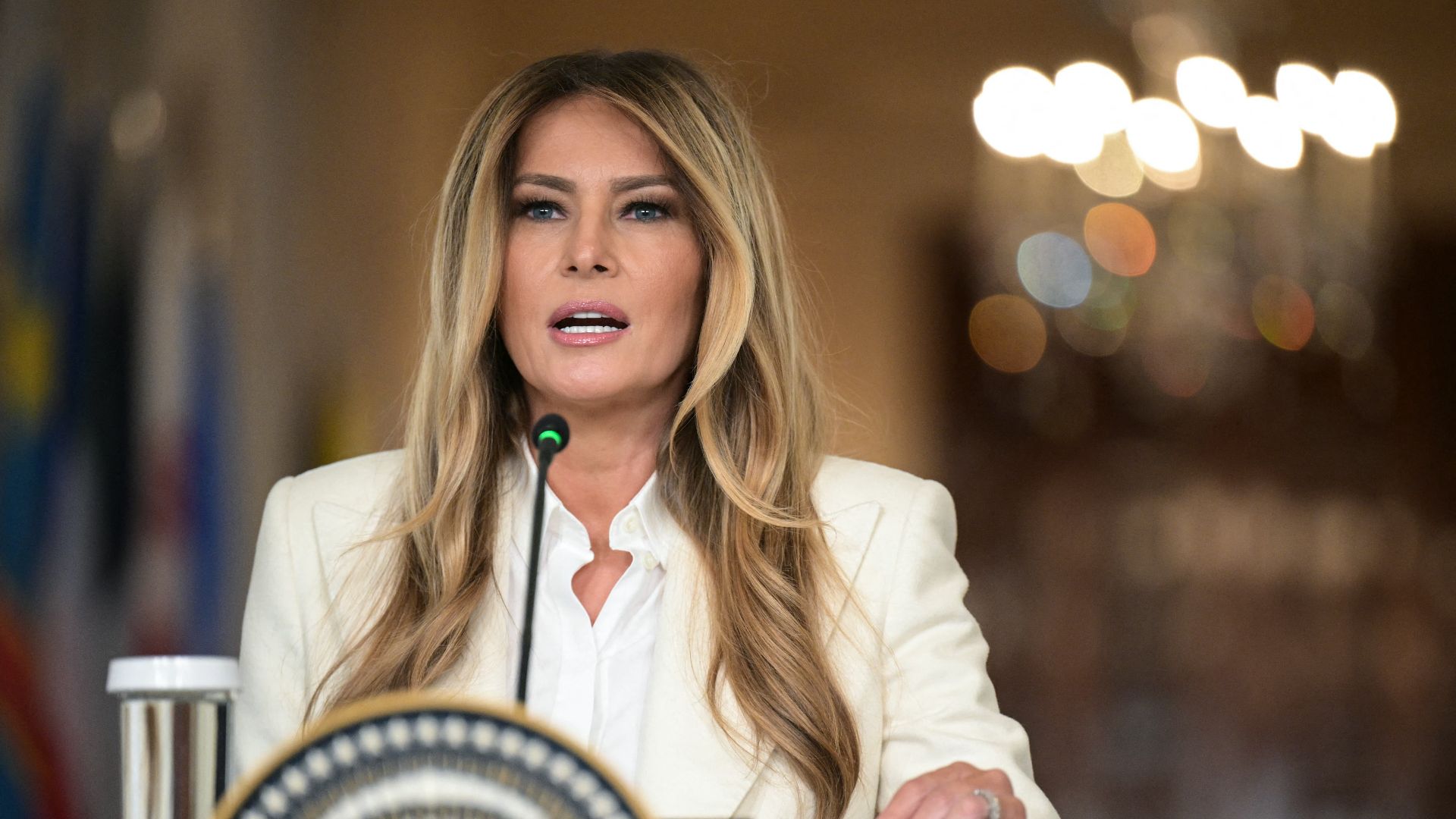 FBI documents suggest Epstein may have introduced Melania to Donald Trump